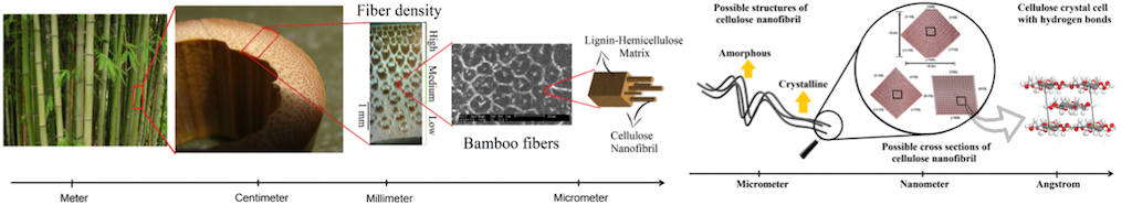 Cellulose-Based Materials – BIOINSPIRED MATERIAL DESIGN LAB