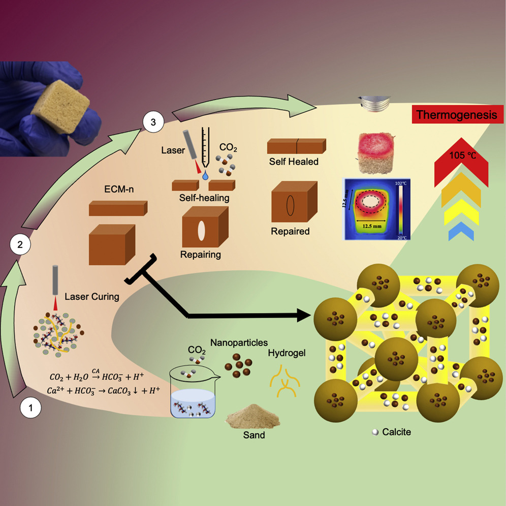 Carbon Negative Materials – BIOINSPIRED MATERIAL DESIGN LAB