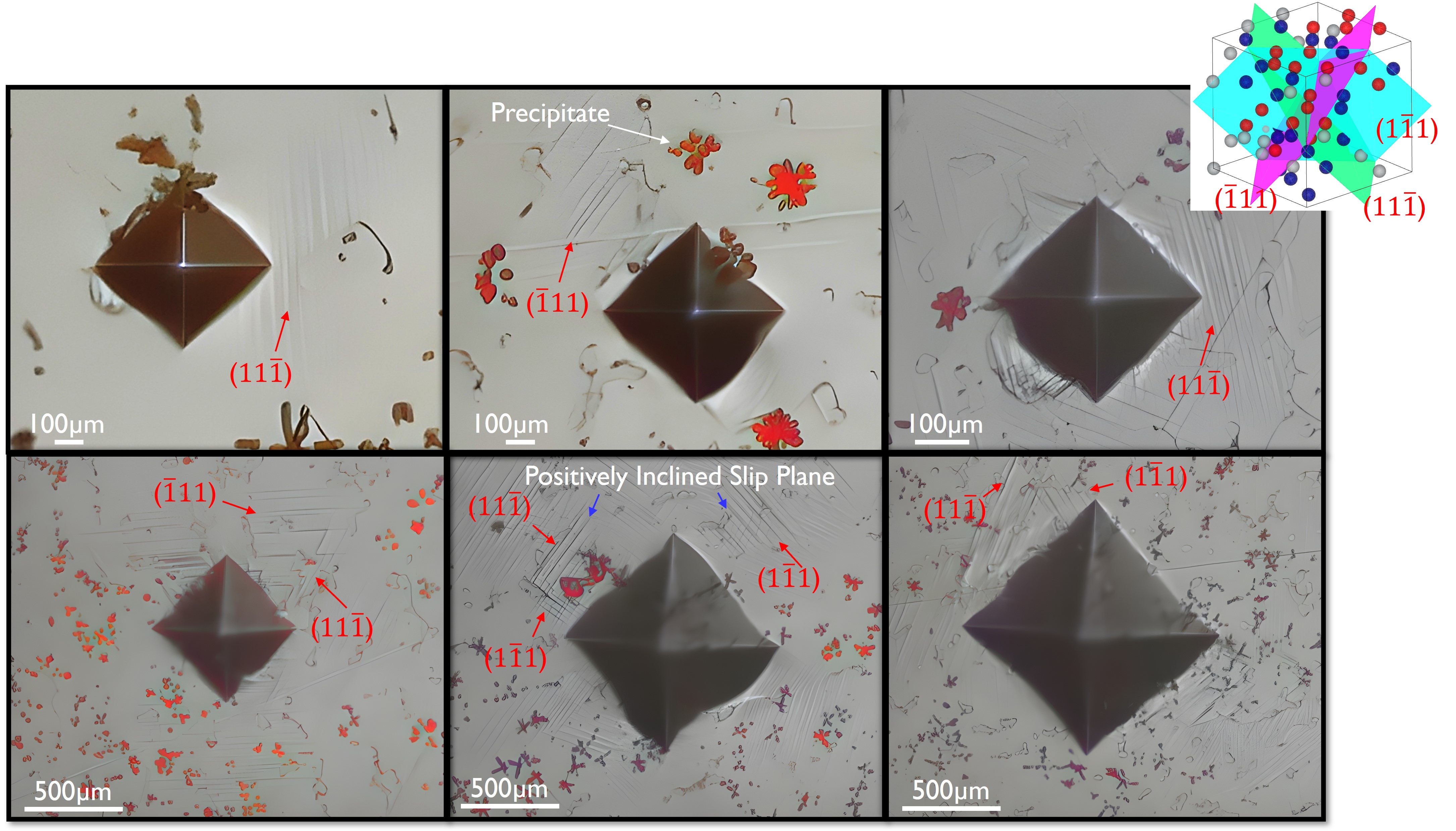 High Entropy Alloys – BIOINSPIRED MATERIAL DESIGN LAB