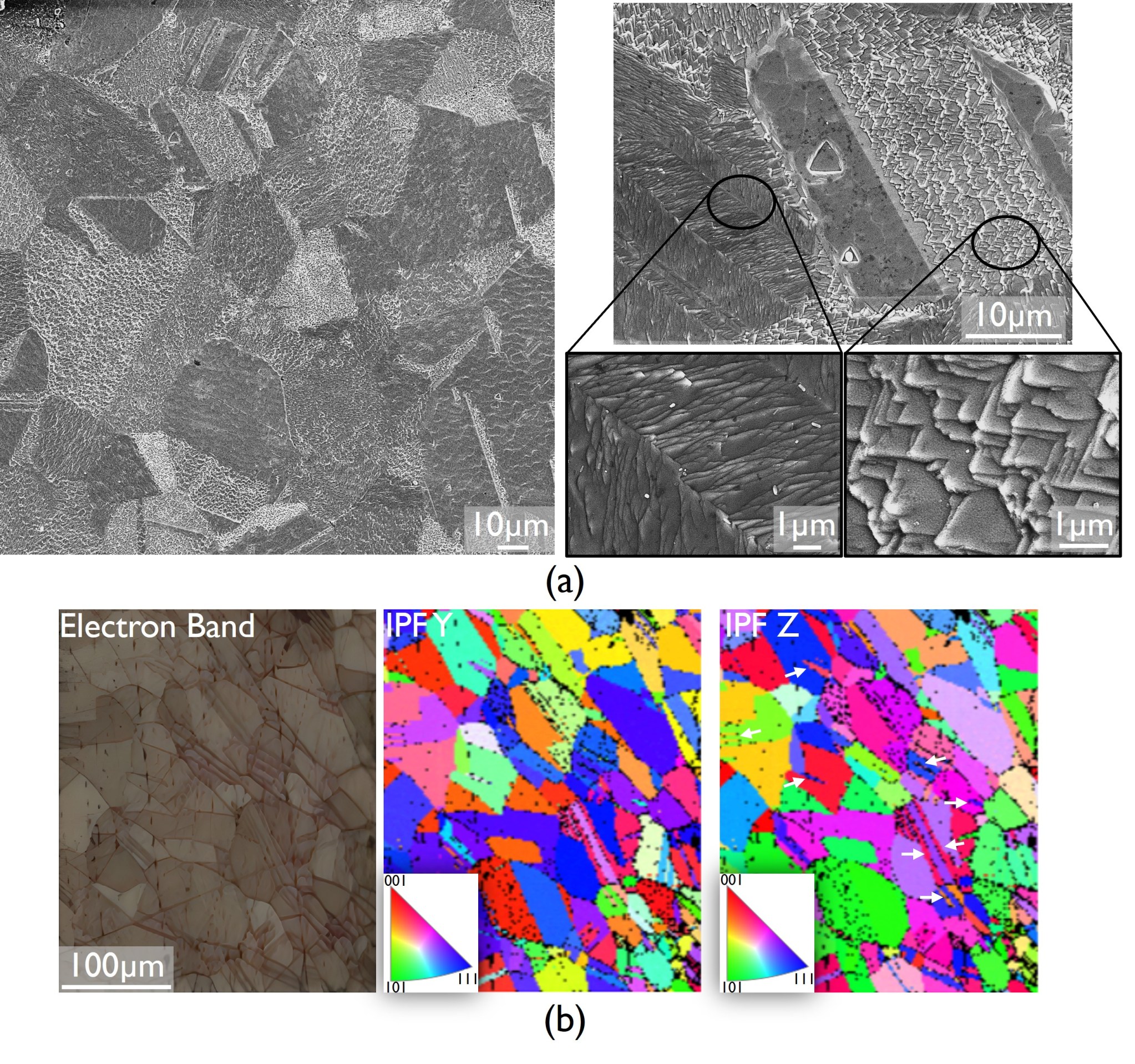 High Entropy Alloys – BIOINSPIRED MATERIAL DESIGN LAB