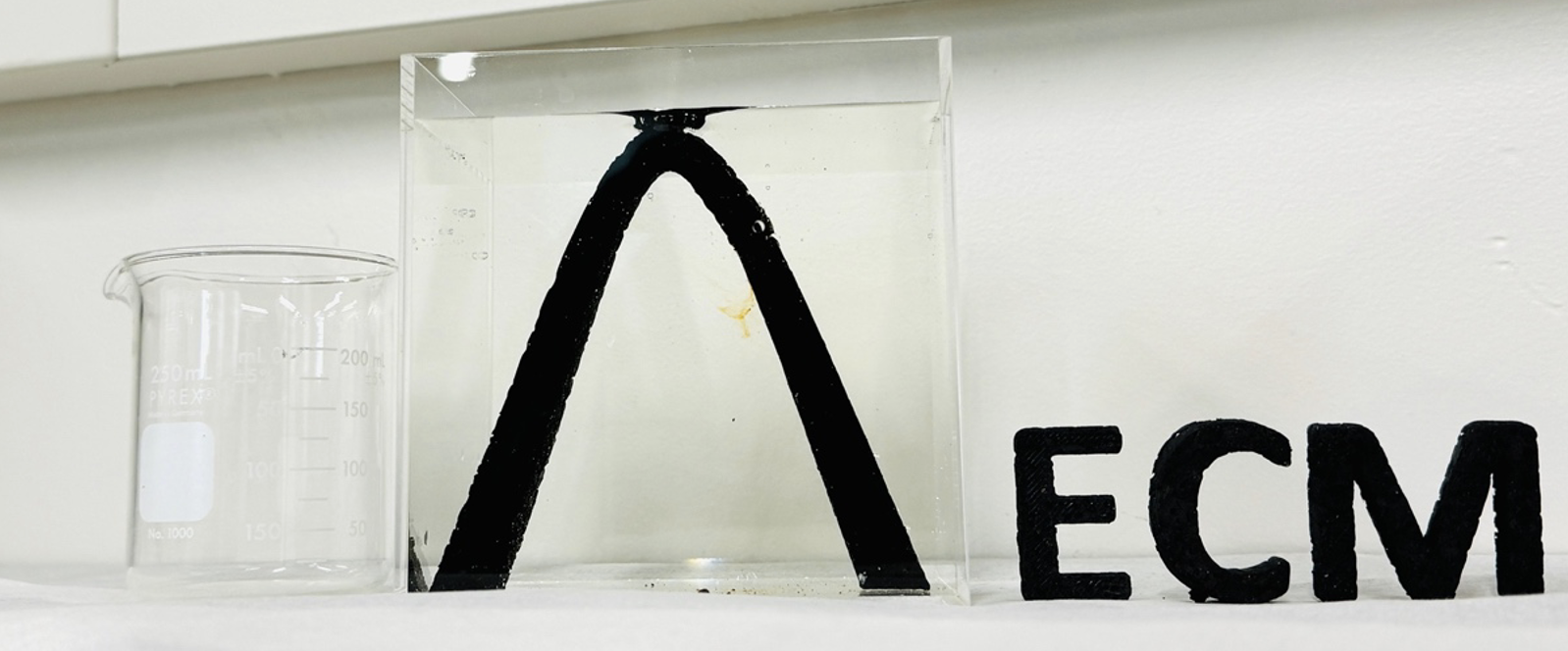 Carbon Negative Materials – BIOINSPIRED MATERIAL DESIGN LAB
